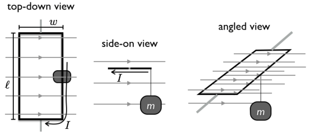 Solved A loop of wire with length, l, and width, w, lies in | Chegg.com