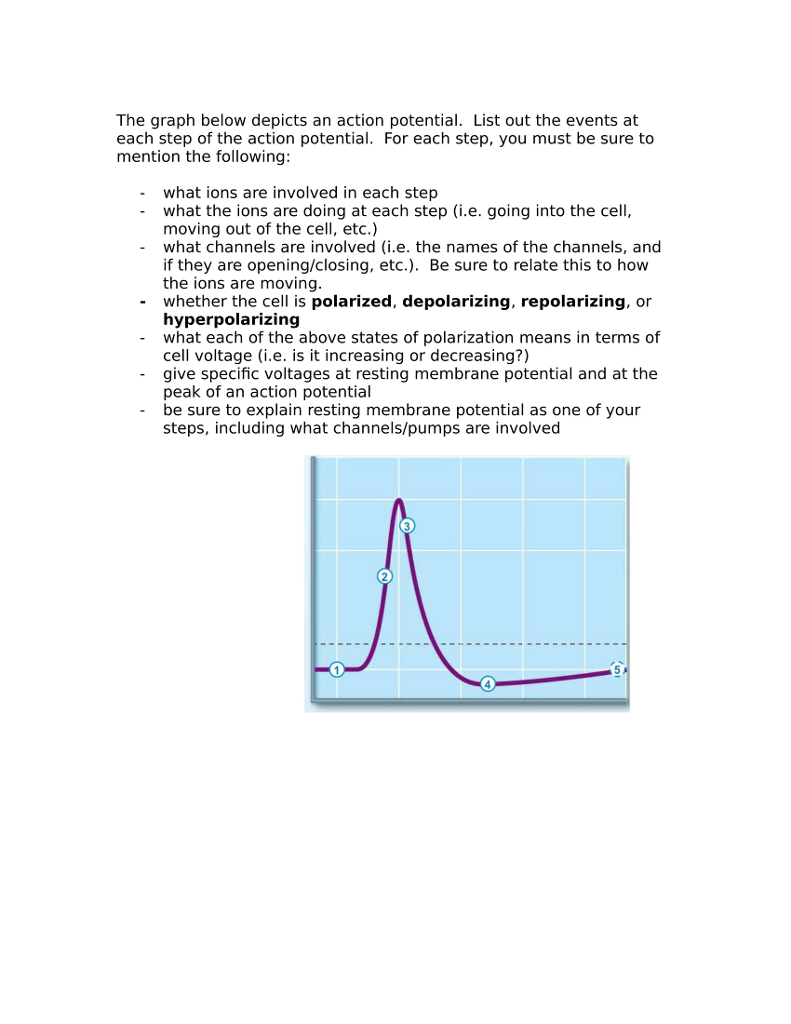 Action Potential Graph Pump