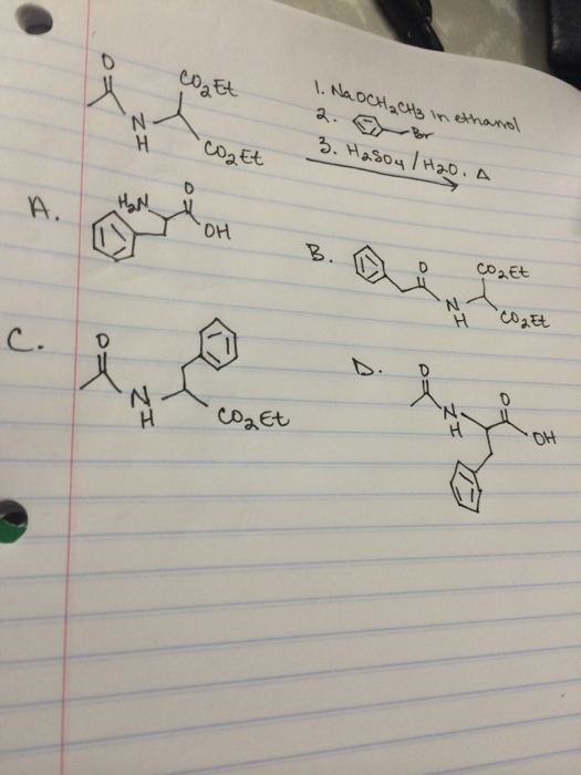 Solved NaOCH2CH3, In ethanol | Chegg.com