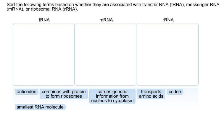 Solved Sort the following terms based on whether they are | Chegg.com