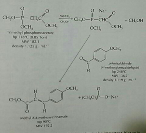 Solved propose the mechanism from this picture. if you | Chegg.com