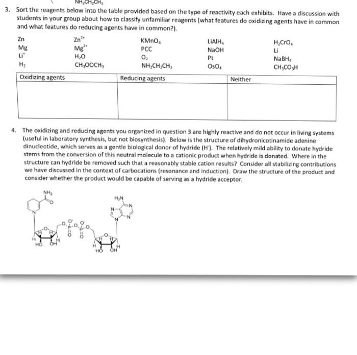 Solved Sort the reagents below into the table provided based | Chegg.com