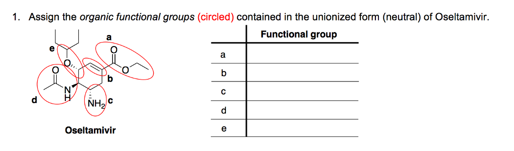 Solved Assign The Organic Functional Groupscircled 