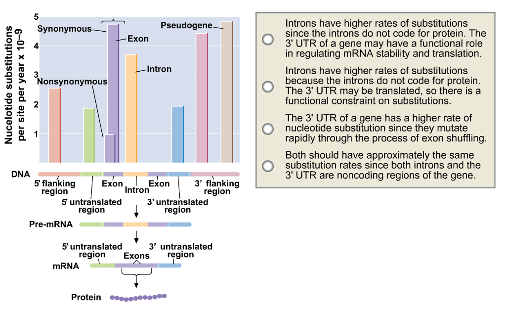 Solved Based on the information provided in the figure | Chegg.com