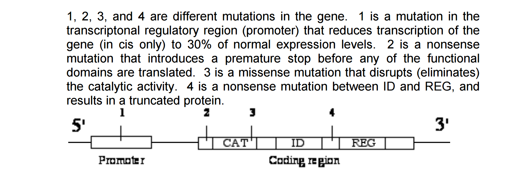 Solved What category of mutation do you expect mutation 4 to | Chegg.com