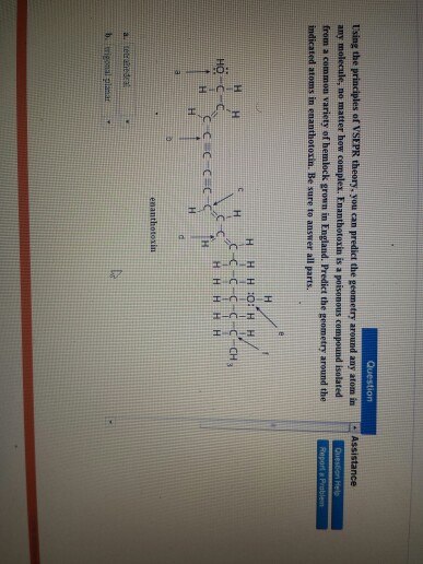 Solved Using the principles of VSEPR theory, you can predict | Chegg.com