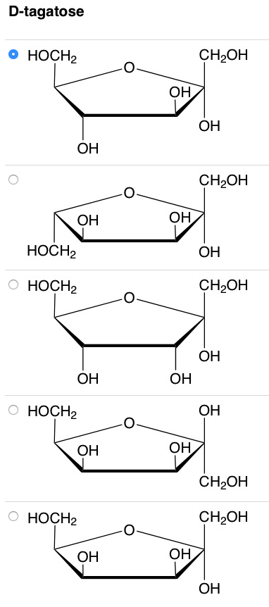 Solved Which of the following is the Haworth projection of a | Chegg.com