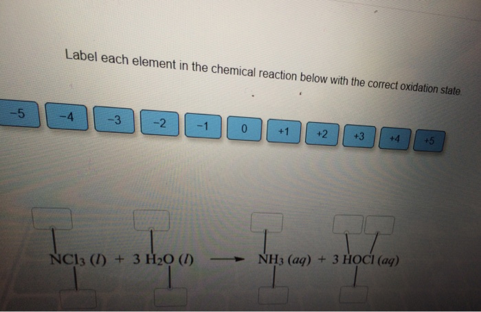 Solved Label each element in the chemical reaction below | Chegg.com