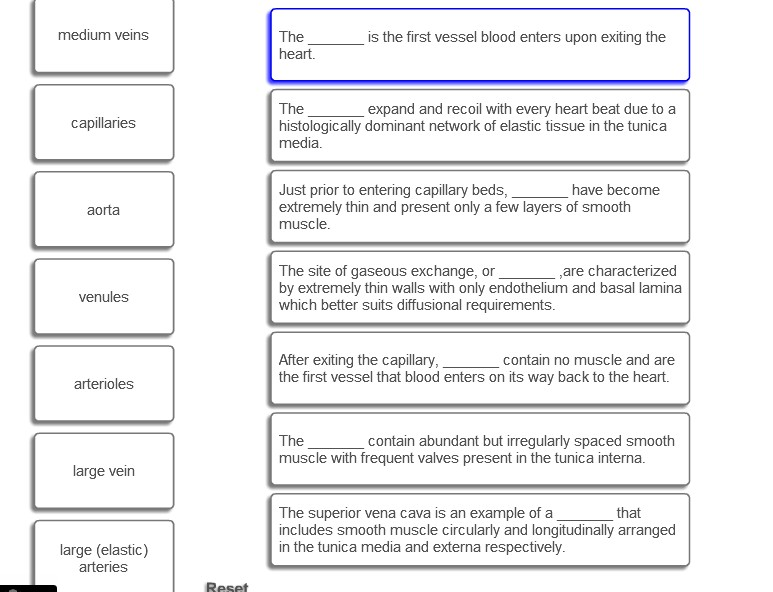 Solved Pressure changes through the vasculature | Chegg.com