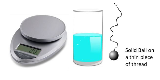 Solved Using a weight scale, a half-full beaker of pure | Chegg.com