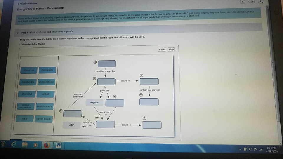 Solved 1019 (2) Energy Flow in Plants- Concept Map minods, | Chegg.com