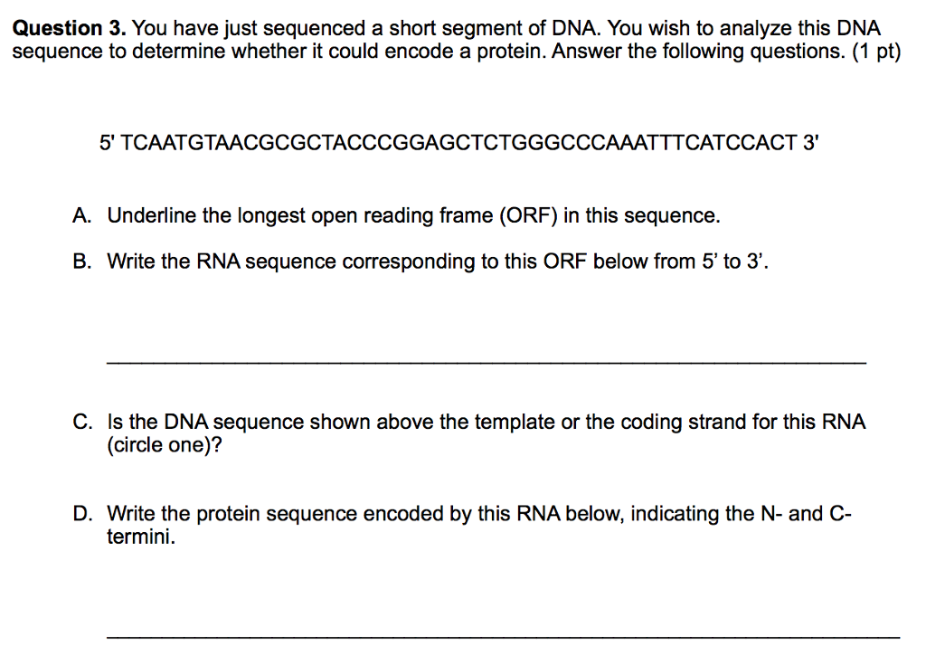 Solved You have just sequenced a short segment of DNA. You | Chegg.com