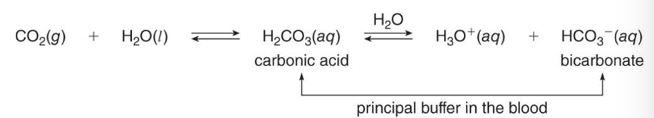Solved Does exhaling CO2 help raise or lower the pH of the | Chegg.com