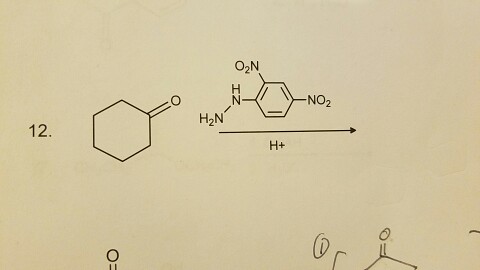 Solved O2N NO2 H2N 12. | Chegg.com