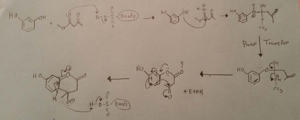 Solved Is this the correct reaction mechanism for the | Chegg.com