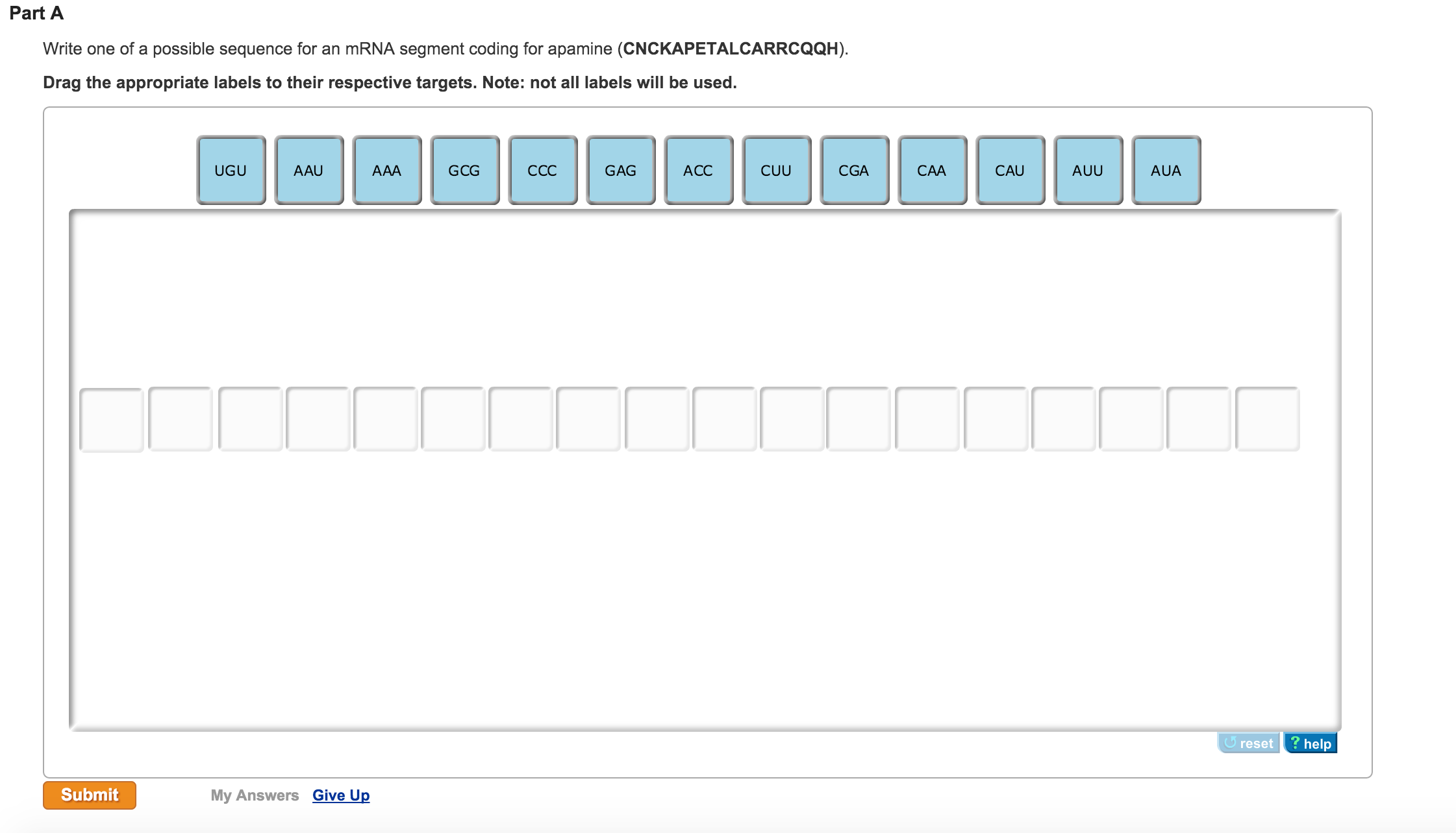 Solved Write one of a possible sequence for an mRNA segment | Chegg.com