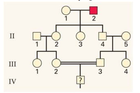 Solved Which follows the inheritance of color blindness in | Chegg.com