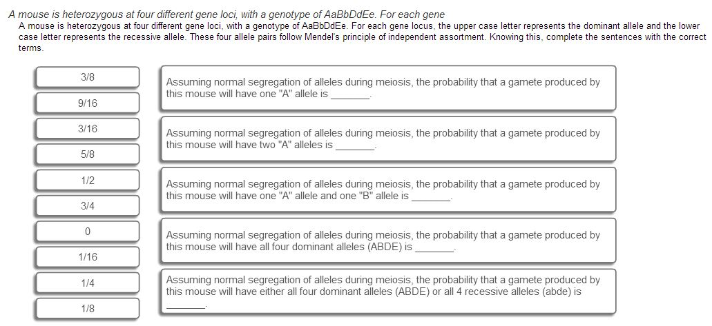A mouse is heterozygous at four different gene loci | Chegg.com