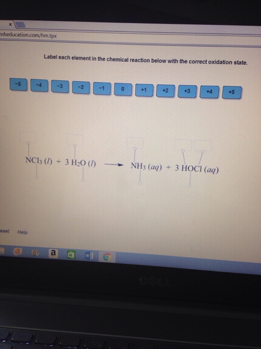 Solved Label each element in the chemical reaction below | Chegg.com