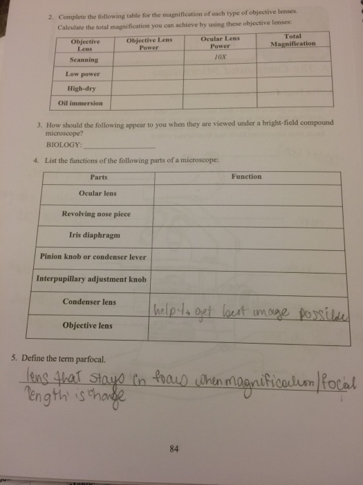 Solved Complete the following table for the magnification of | Chegg.com