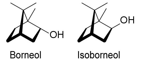 Solved Below are the structures for Borneol and Isoborneol. | Chegg.com