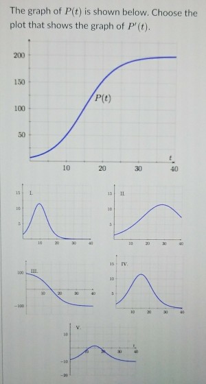 Solved The graph of P(t) is shown below. Choose the plot | Chegg.com