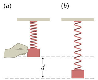Solved The hand in (a) holds a vertical block-spring system | Chegg.com