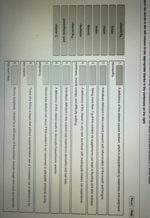 Solved atch the words in the left column to the appropriate | Chegg.com