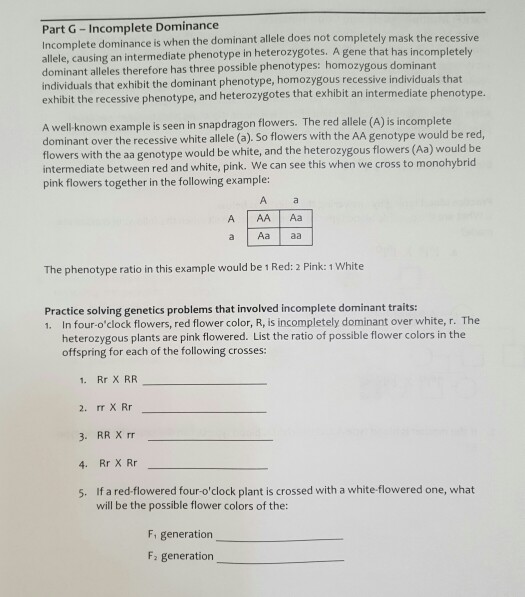 Solved Now that you are comfortable writing genotypes and | Chegg.com