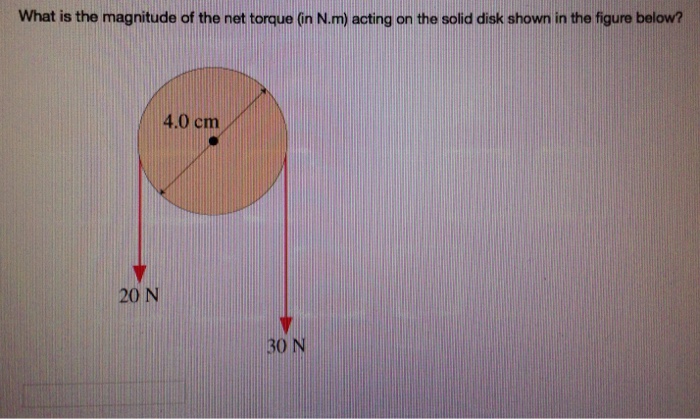 Solved What is the magnitude of the net torque (in N.m) | Chegg.com