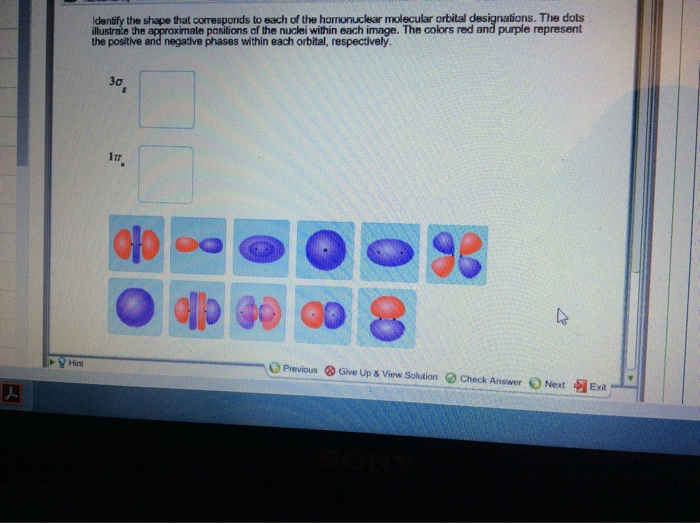 Solved Identify the shape that corresponds to each of the | Chegg.com Solved Identify the shape that corresponds to each of the | Chegg.com