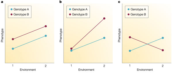 Solved What is causing the variation shown in each graph. | Chegg.com