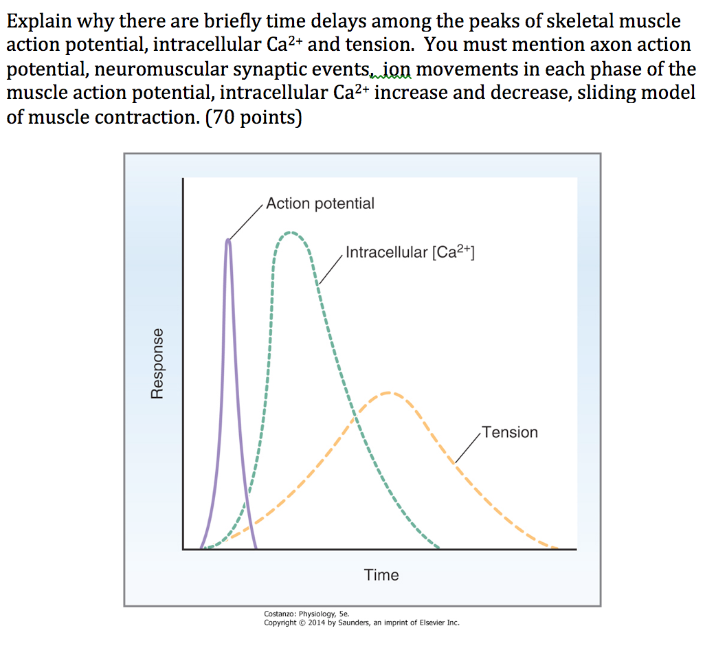 Solved Explain why there are briefly time delays among the | Chegg.com