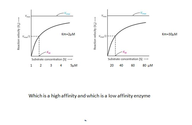 Solved Km 30uM Substrate concentration [S] Substrate | Chegg.com