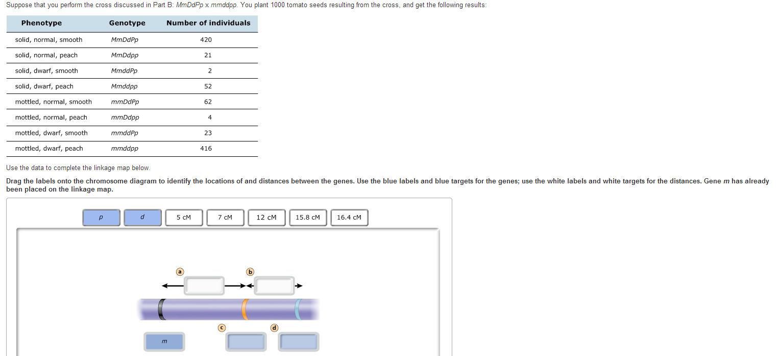 Solved Suppose that you perform the cross discussed in Part | Chegg.com Solved Suppose that you perform the cross discussed in Part | Chegg.com
