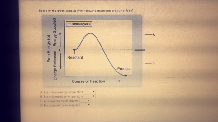 Solved Based on the graph, indicate if the following | Chegg.com