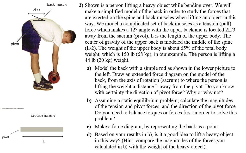 Solved Shown is a person lifting a heavy object while | Chegg.com