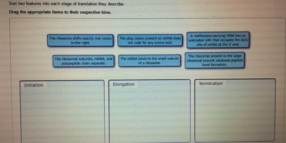 Solved Translation is the process of protein synthesis using | Chegg.com