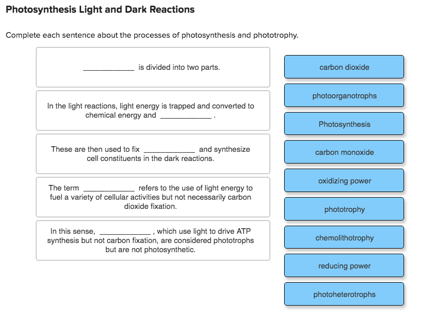 Solved Photosynthesis Light and Dark Reactions Complete each | Chegg.com