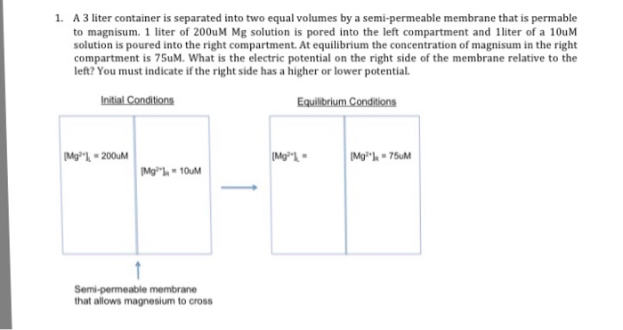 Solved: A 3 Liter Container Is Separated Into Two Equal Vo... | Chegg.com