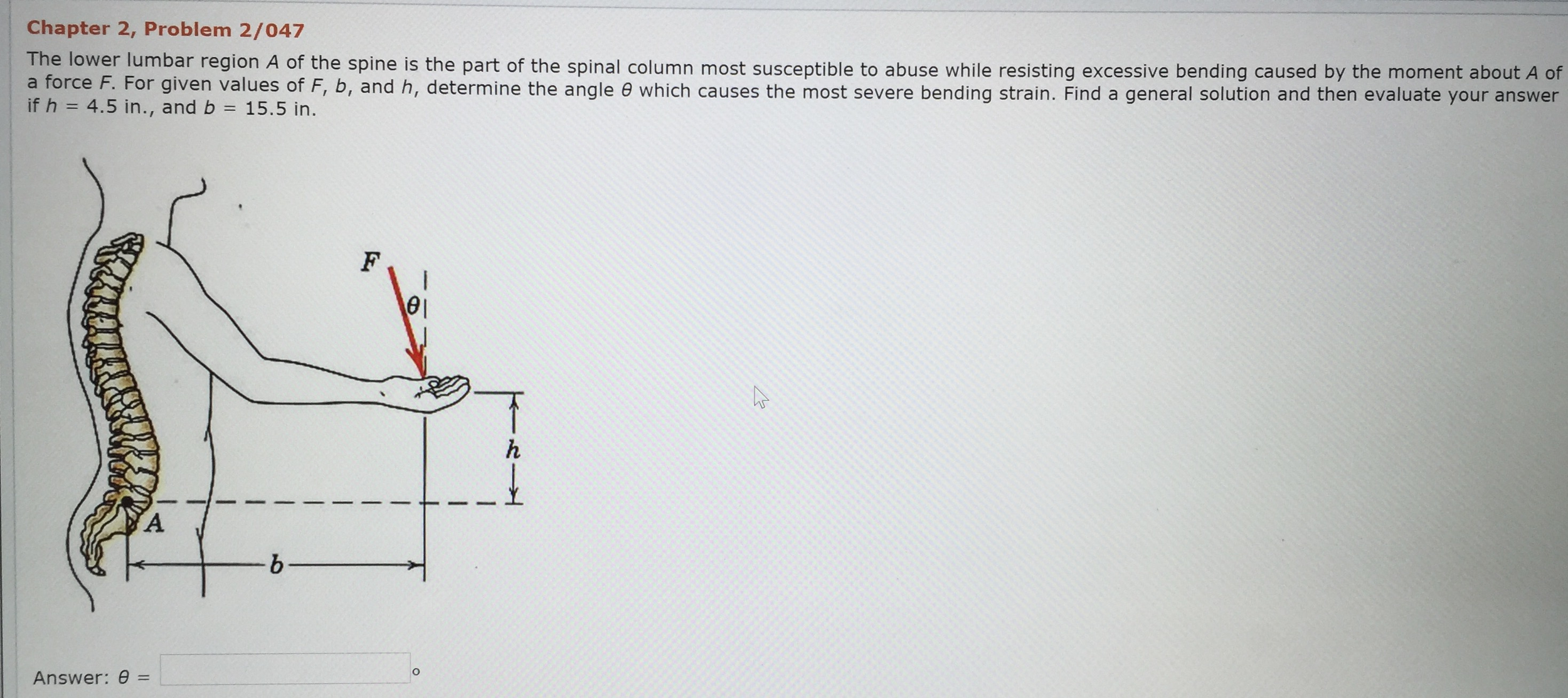Solved The lower lumbar region A of the spine is the part of | Chegg.com