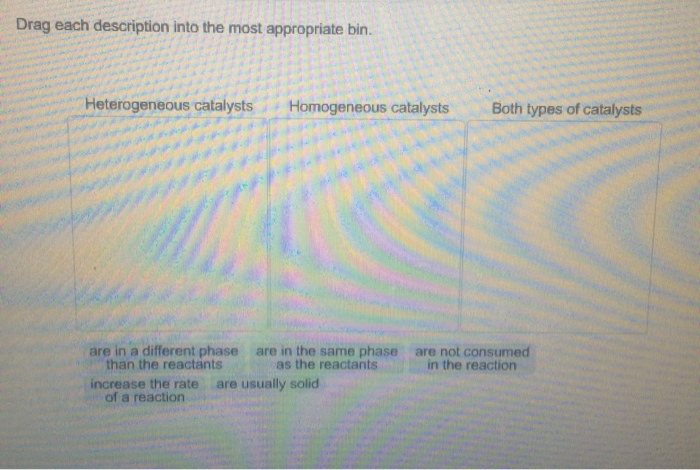 Solved Drag each description into the most appropriate bin. | Chegg.com