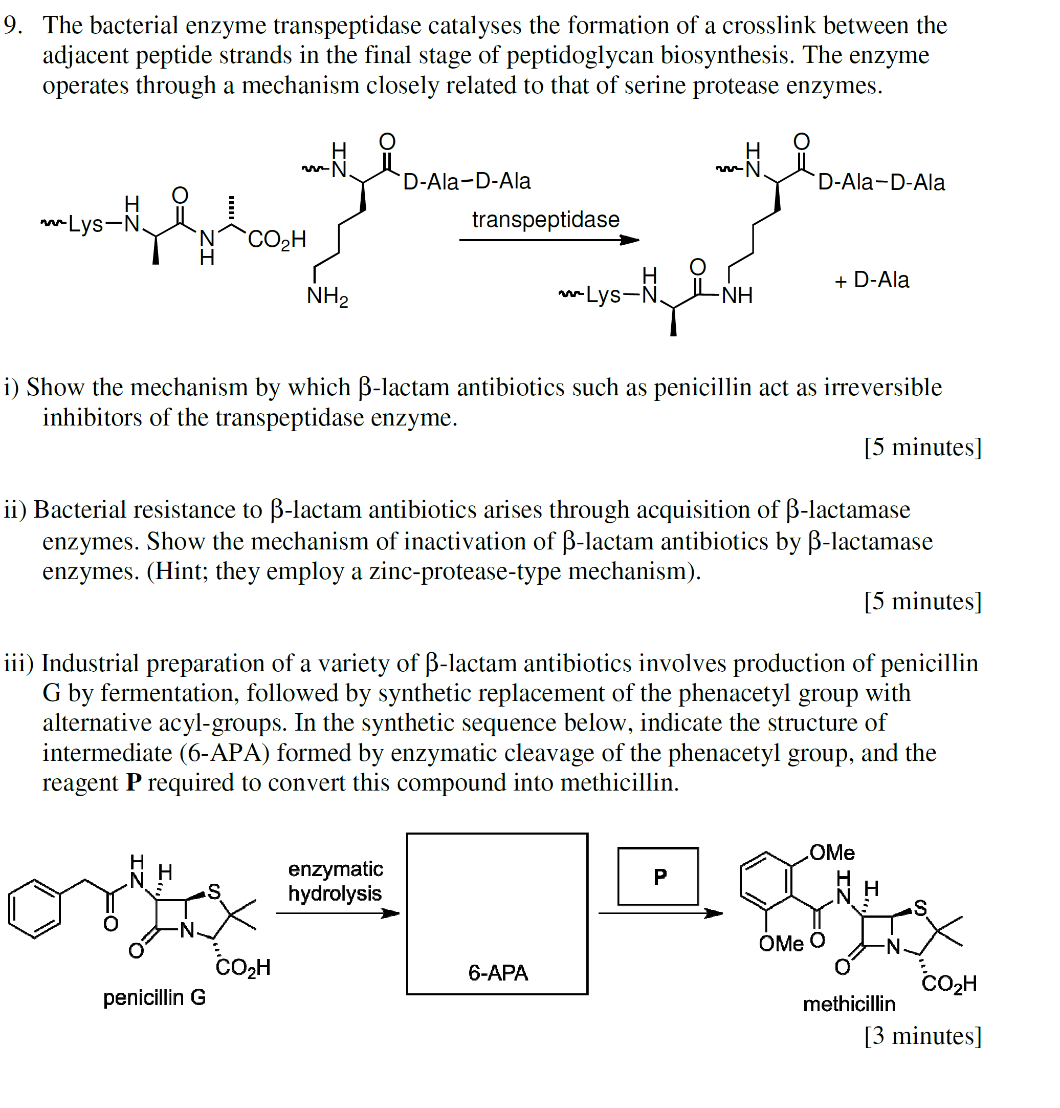 Solved The bacterial enzyme transpeptidase catalyses the | Chegg.com