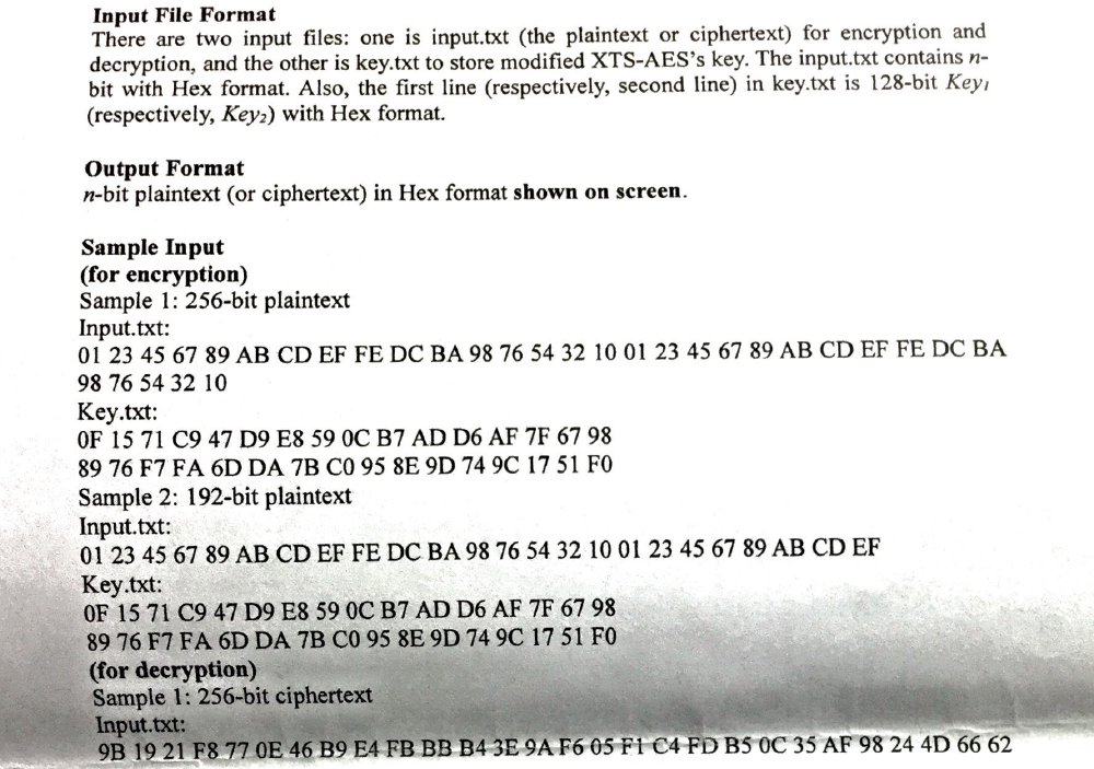 Solved Final Project-1 A Modified XTS-AES Encryption and | Chegg.com
