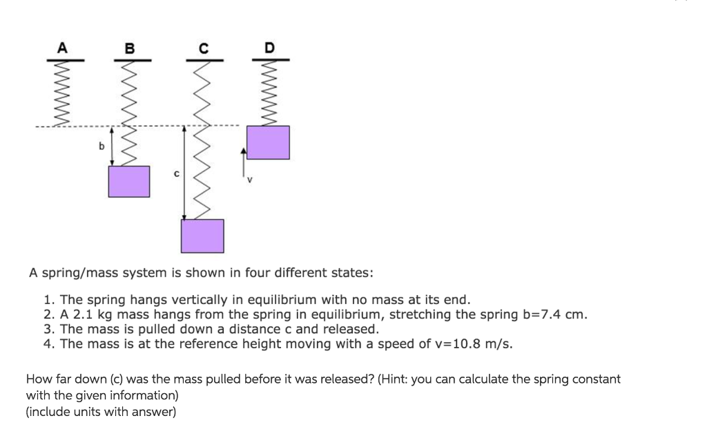 Solved A Spring Mass System Is Shown In Four Different