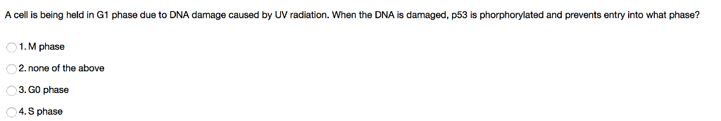 Solved A cell is being held in G1 phase due to DNA damage | Chegg.com