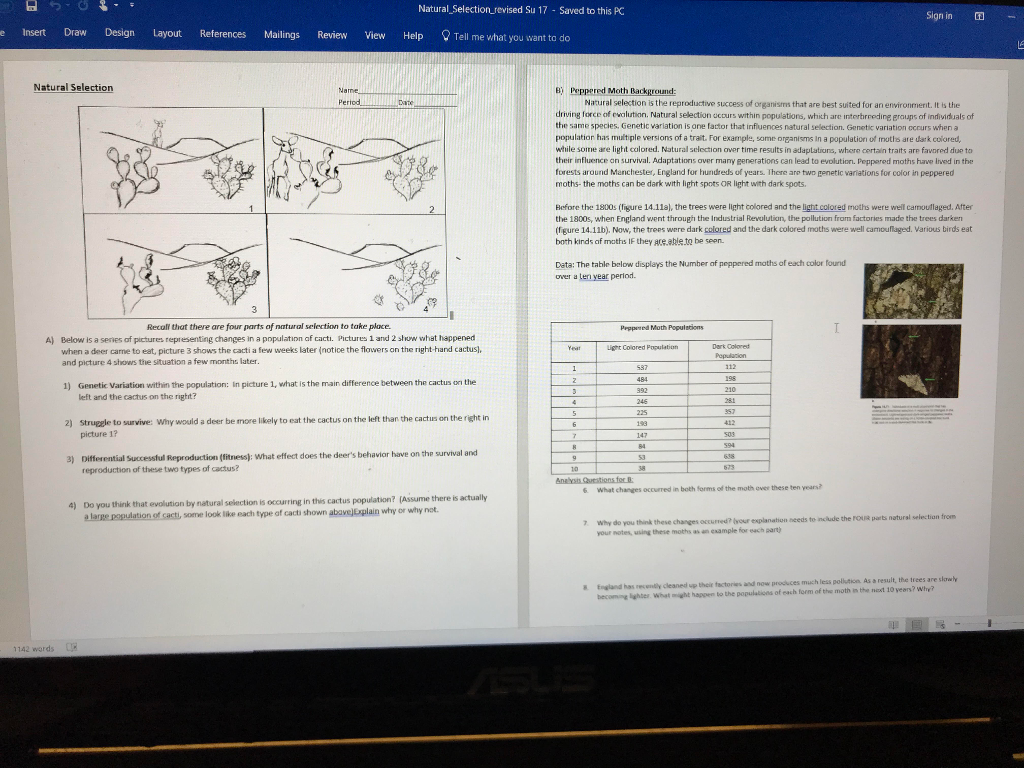 Successful Reproduction Natural Selection