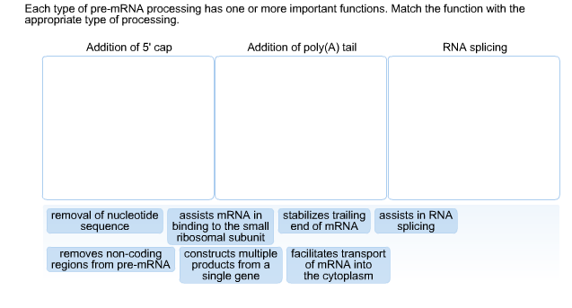 Solved Each type of pre-mRNA processing has one or more | Chegg.com