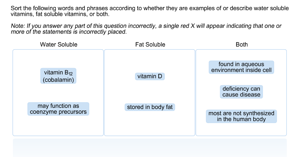 Solved Sort the following words and phrases according to | Chegg.com