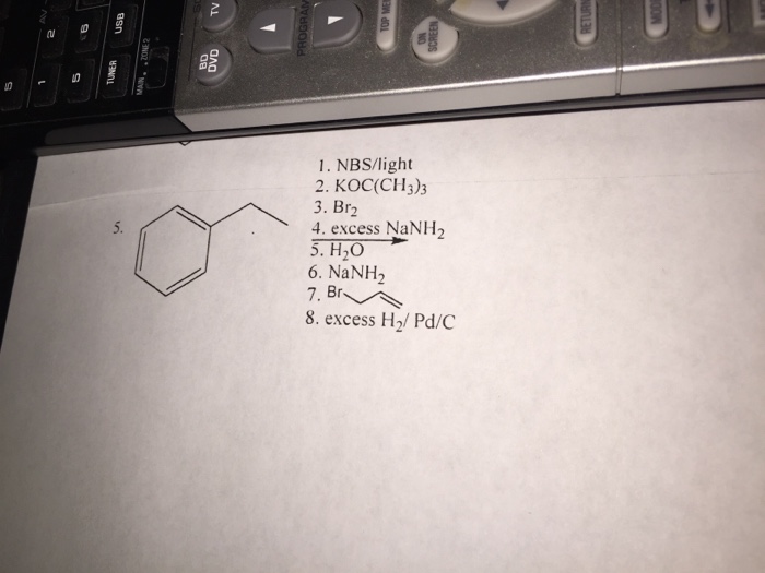 Solved 1. NBS/light 2. KOC(CH3)3 3. Br2 4. excess NaNH2 5. | Chegg.com